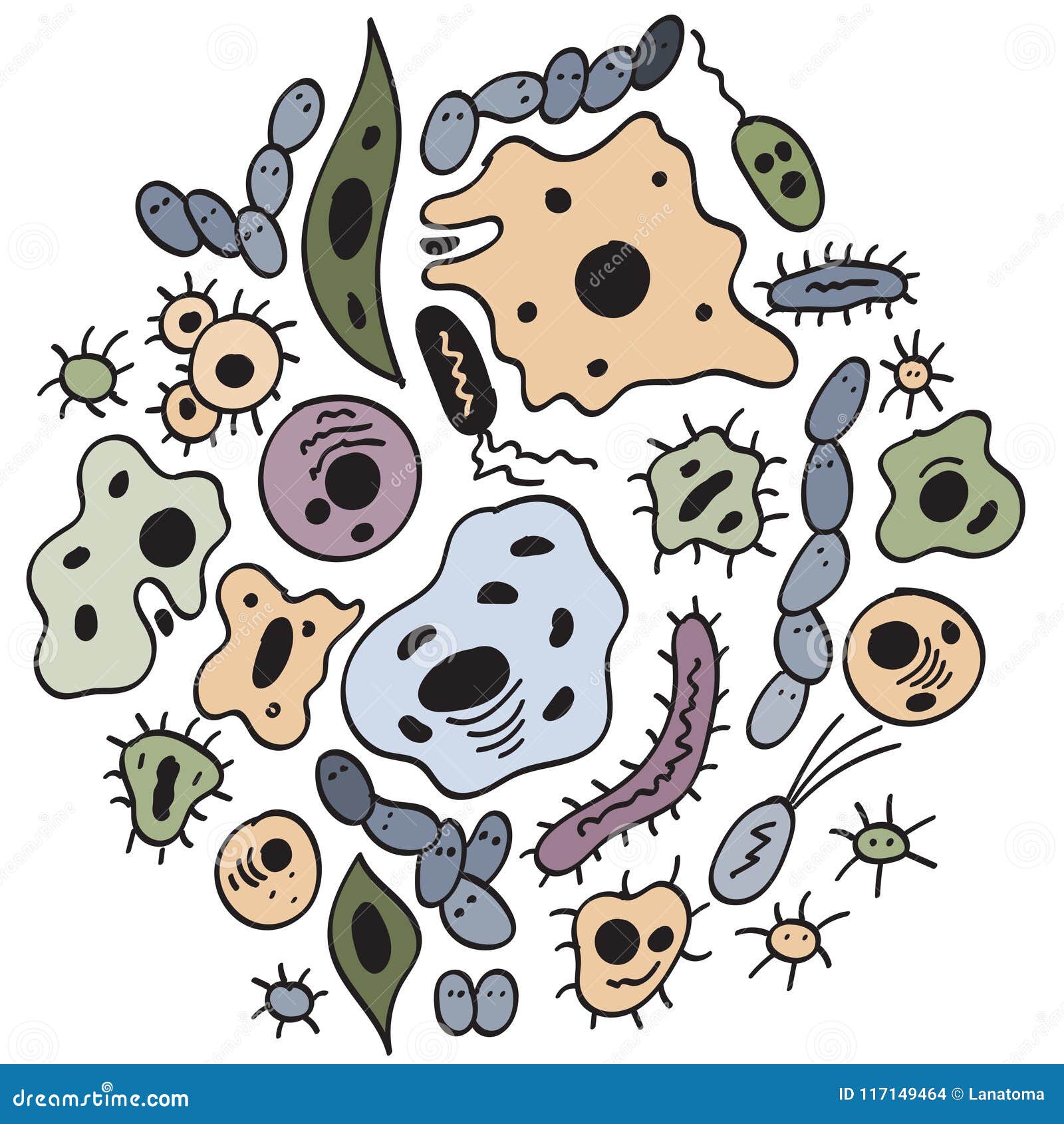 Doodles of Pathogenic Bacteria for Web and Presentations Stock Vector ...