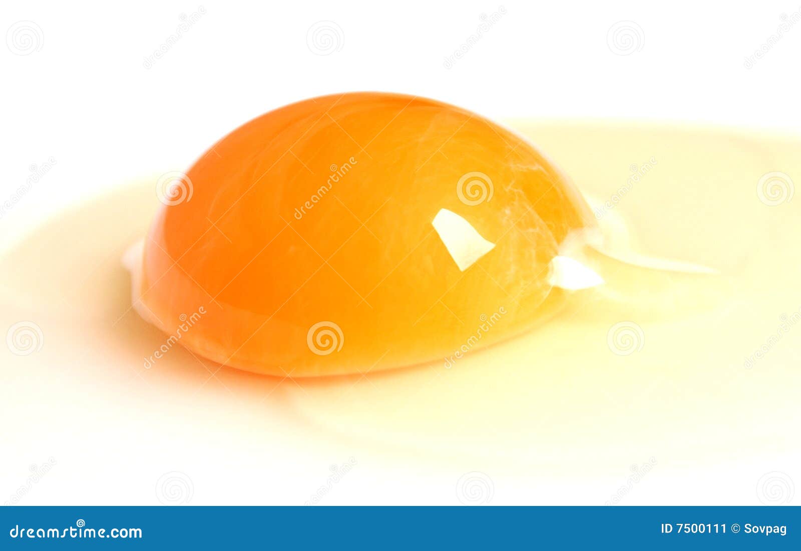 Dooier Stock Afbeelding - Afbeelding: 7500111