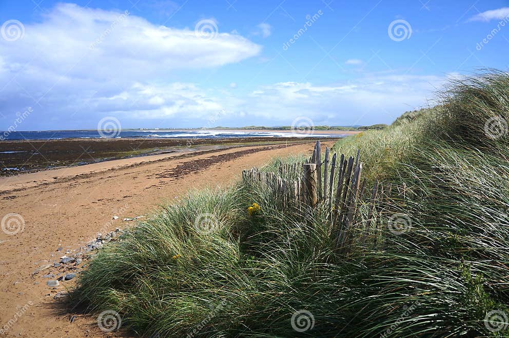 Doonbeg Strand, County Clare, Ireland Stock Photo - Image of golf ...