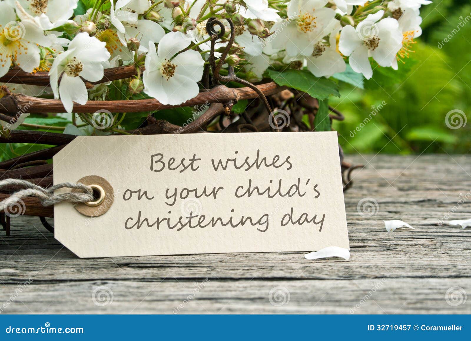 Doopsel stock afbeelding. Image of wensen, rozen, gelukwensen - 32719457