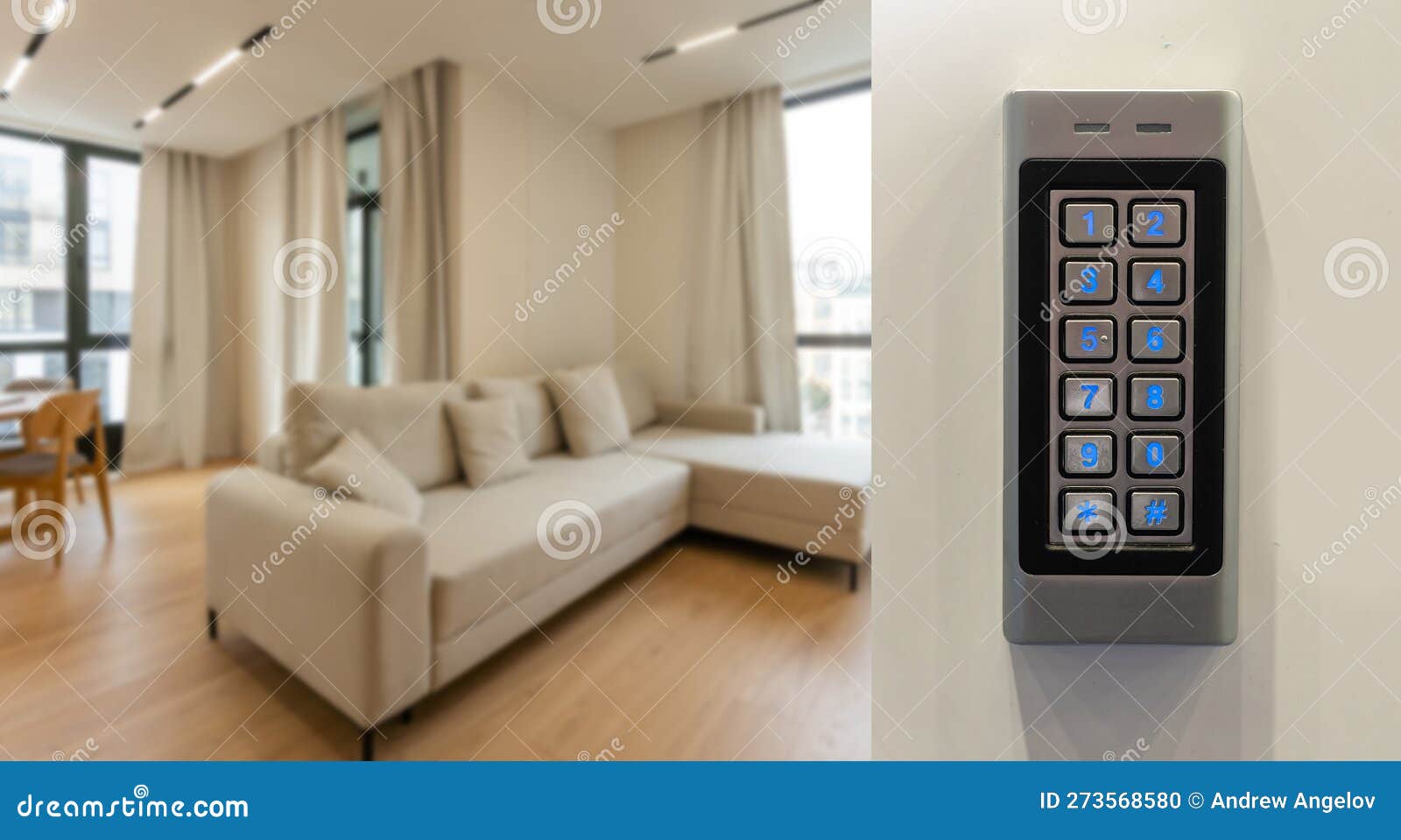 Door Access Control, Electronic Lock with Buttons in the Apartment ...