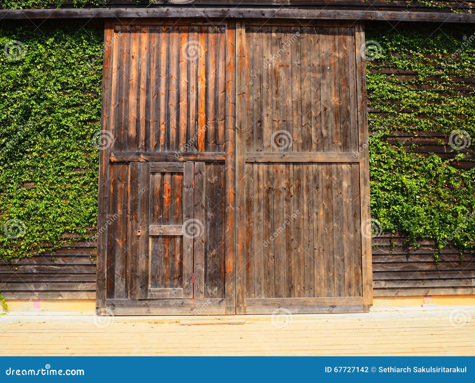 Door of barn wallwood stock photo. Image of building - 67727142
