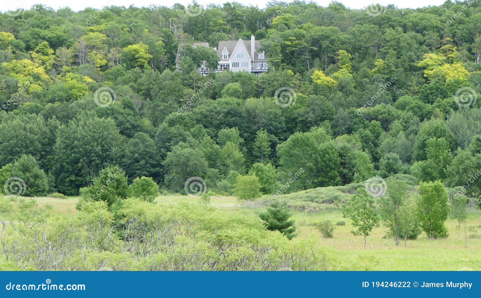 Door County Wayside Park stock photo. Image of restaurantn - 194246222
