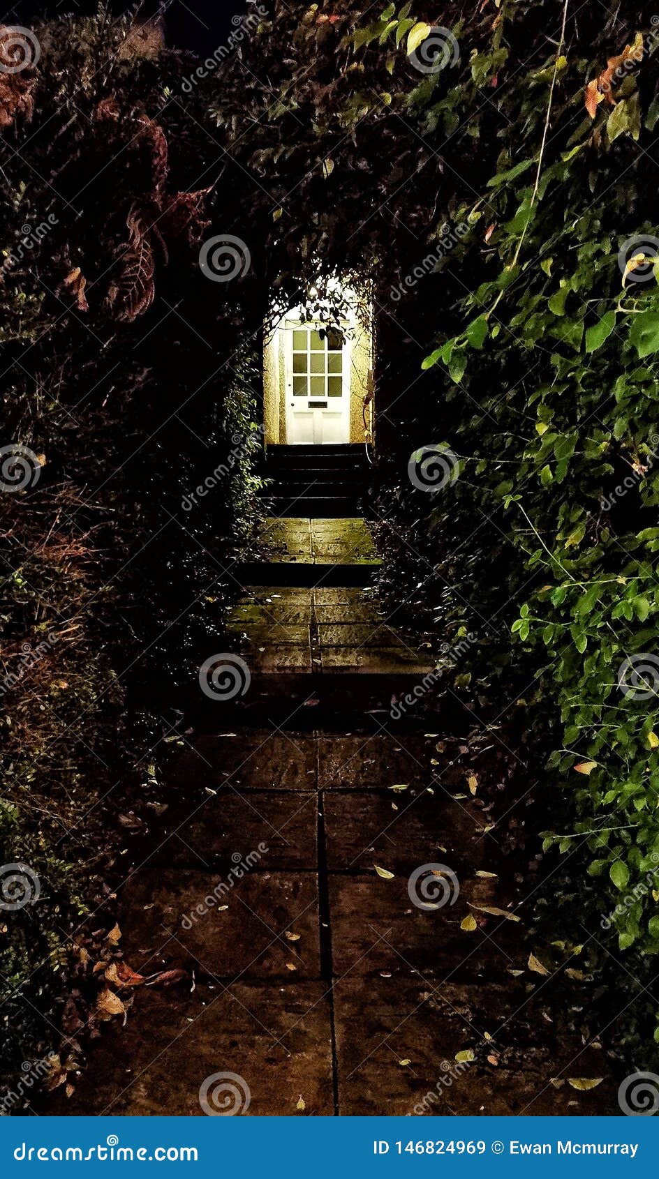 Door in the distance stock image. Image of hidden, garden - 146824969