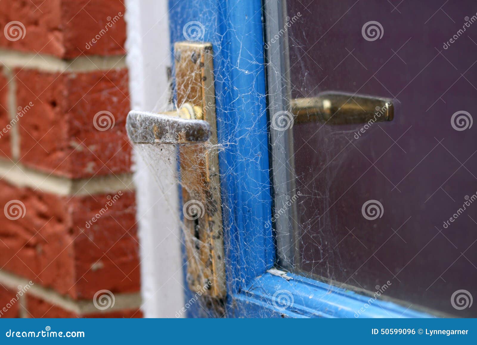 Door Handle Covered Spiders Web Stock Photos - Free & Royalty-Free ...