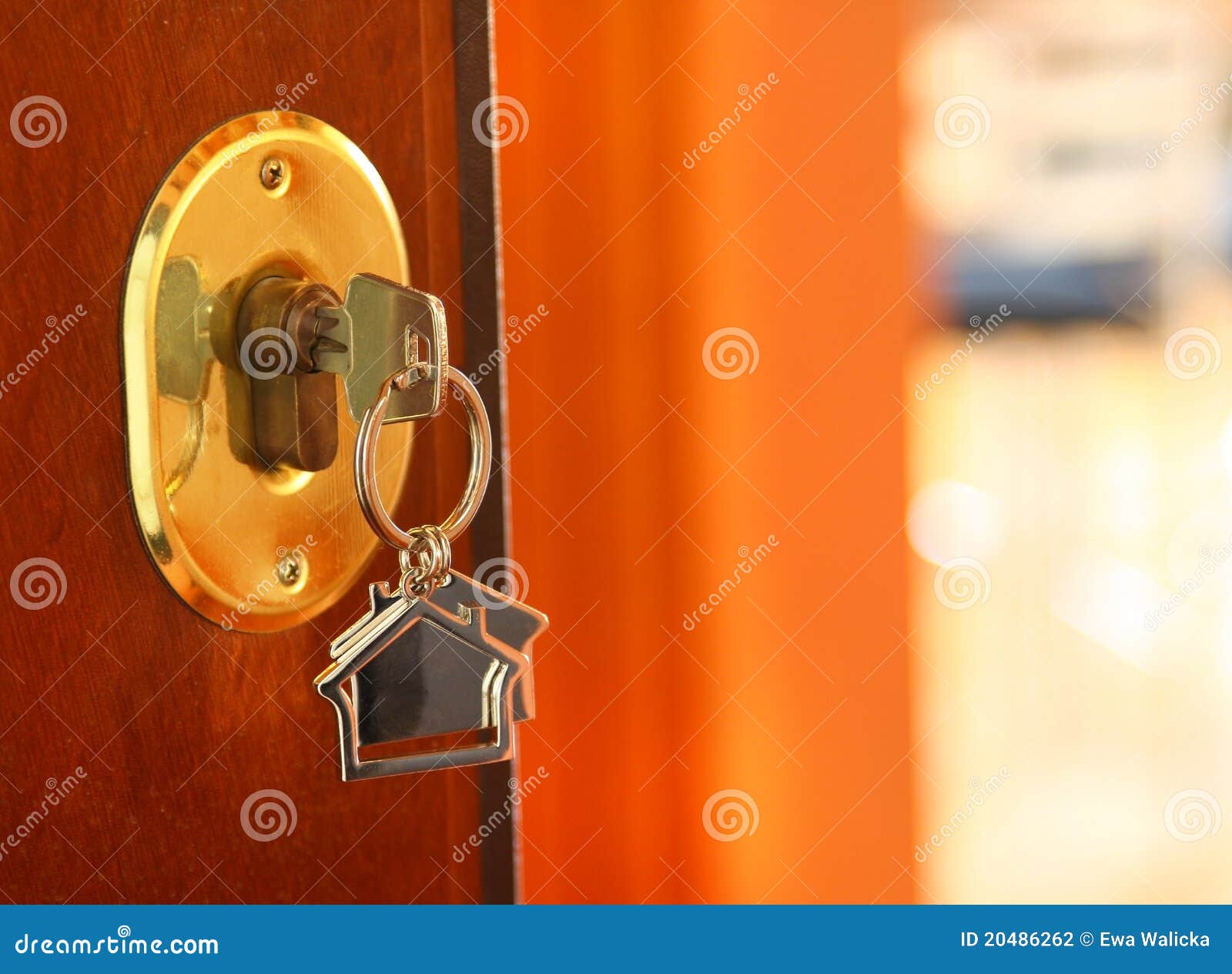 Door key stock photo. Image of unlock, lock, front, brown - 20486262
