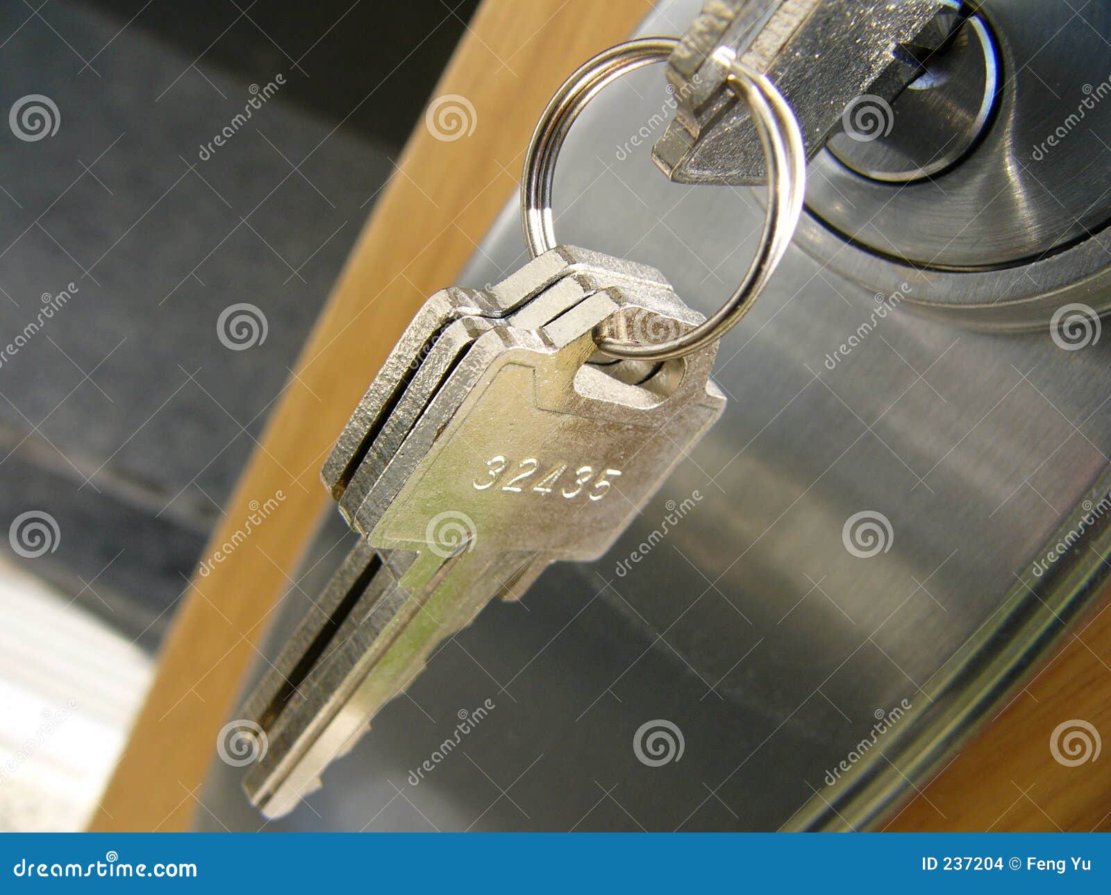 Door key stock photo. Image of hole, protection, keyhole - 237204