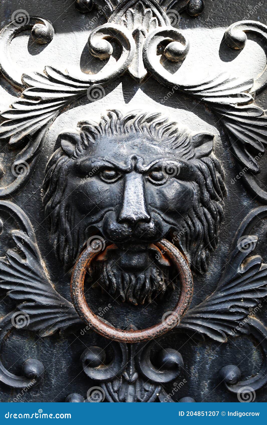 Lion Knocker stock image. Image of curl, lion, mouth - 204851207