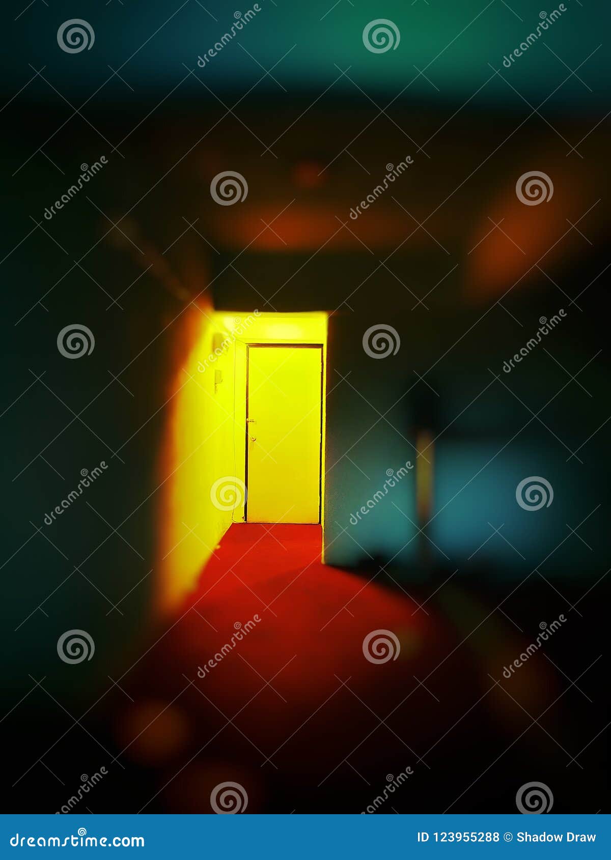 Door light stock photo. Image of light, night, door - 123955288