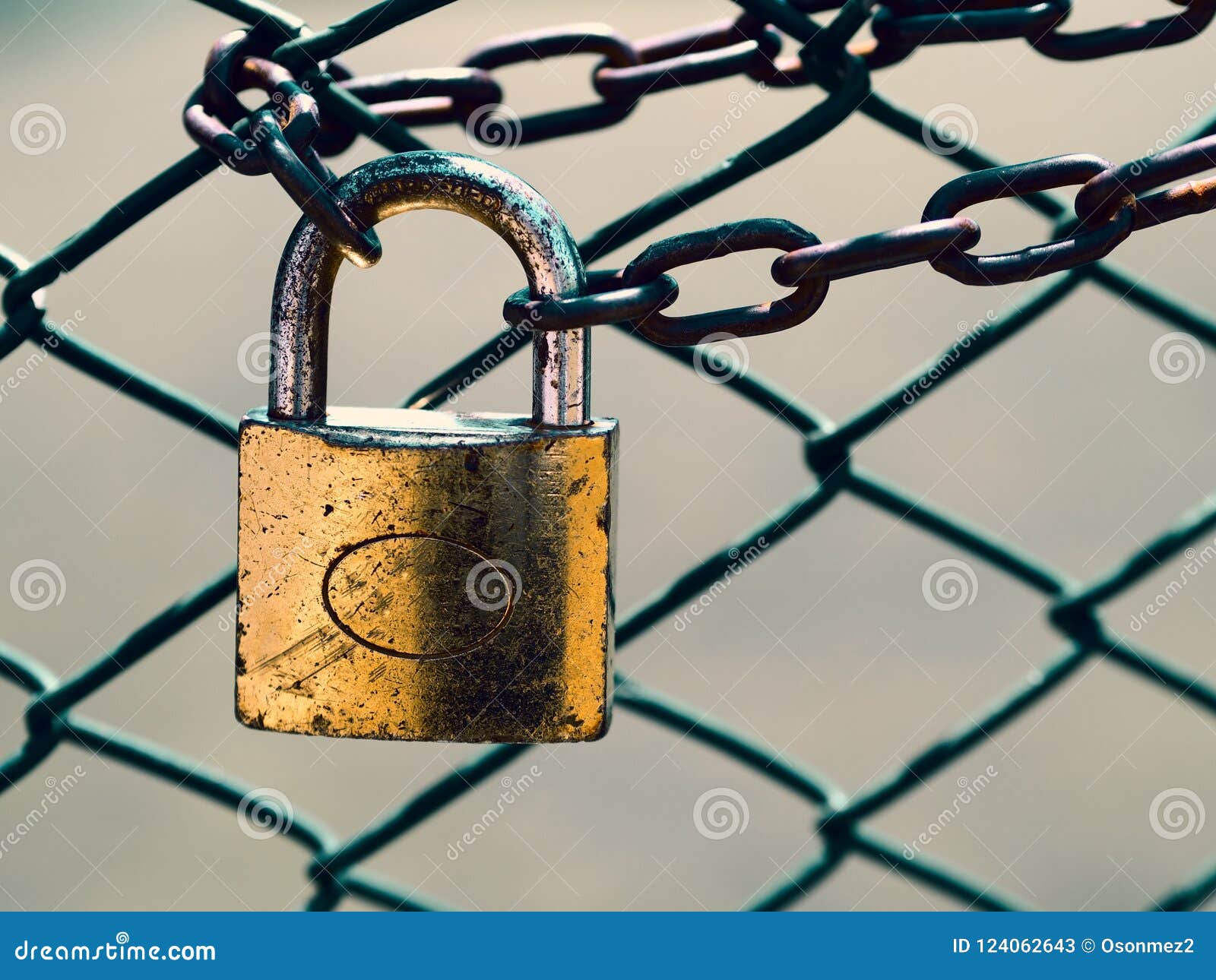 Door Lock on the Iron Gate with Iron Chain and Padlock Stock Image ...