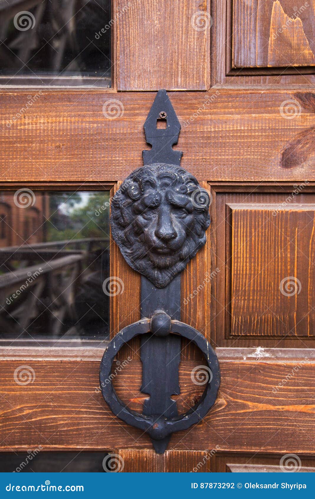 Door lock with a lion stock photo. Image of door, iron - 87873292