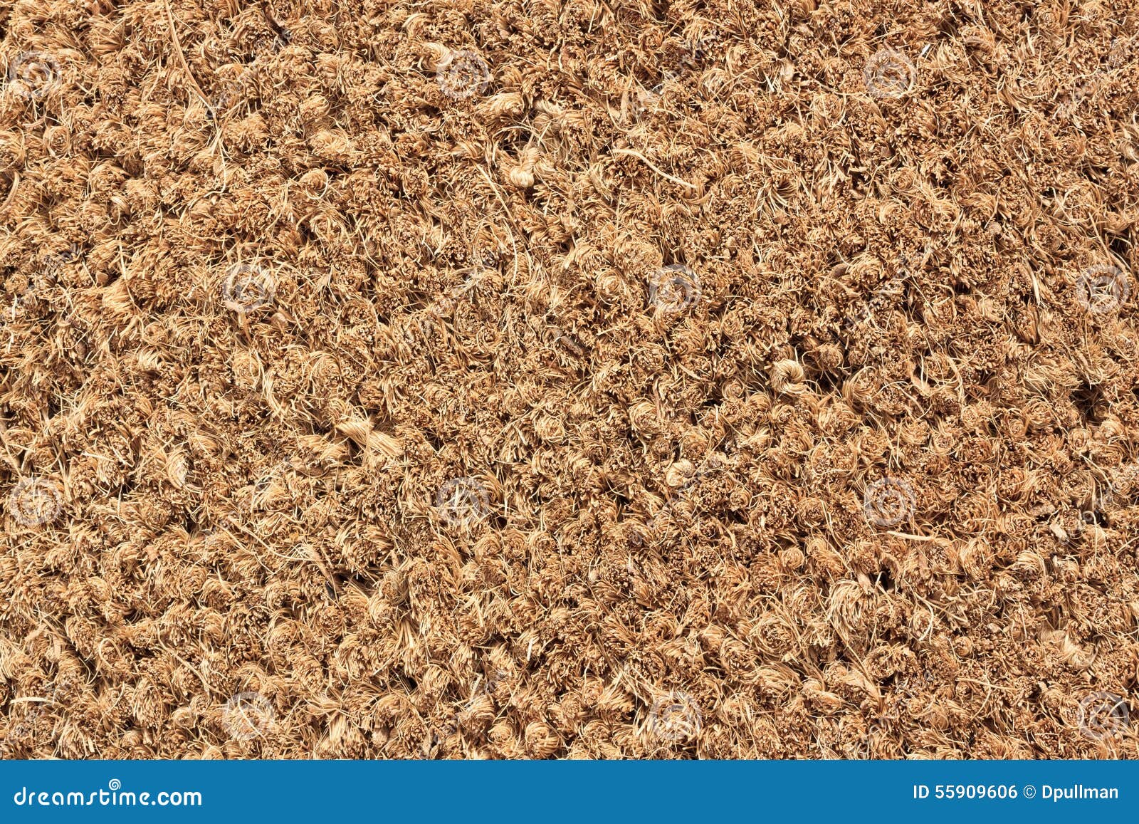 Door Mat Close-up Texture stock photo. Image of texture - 55909606