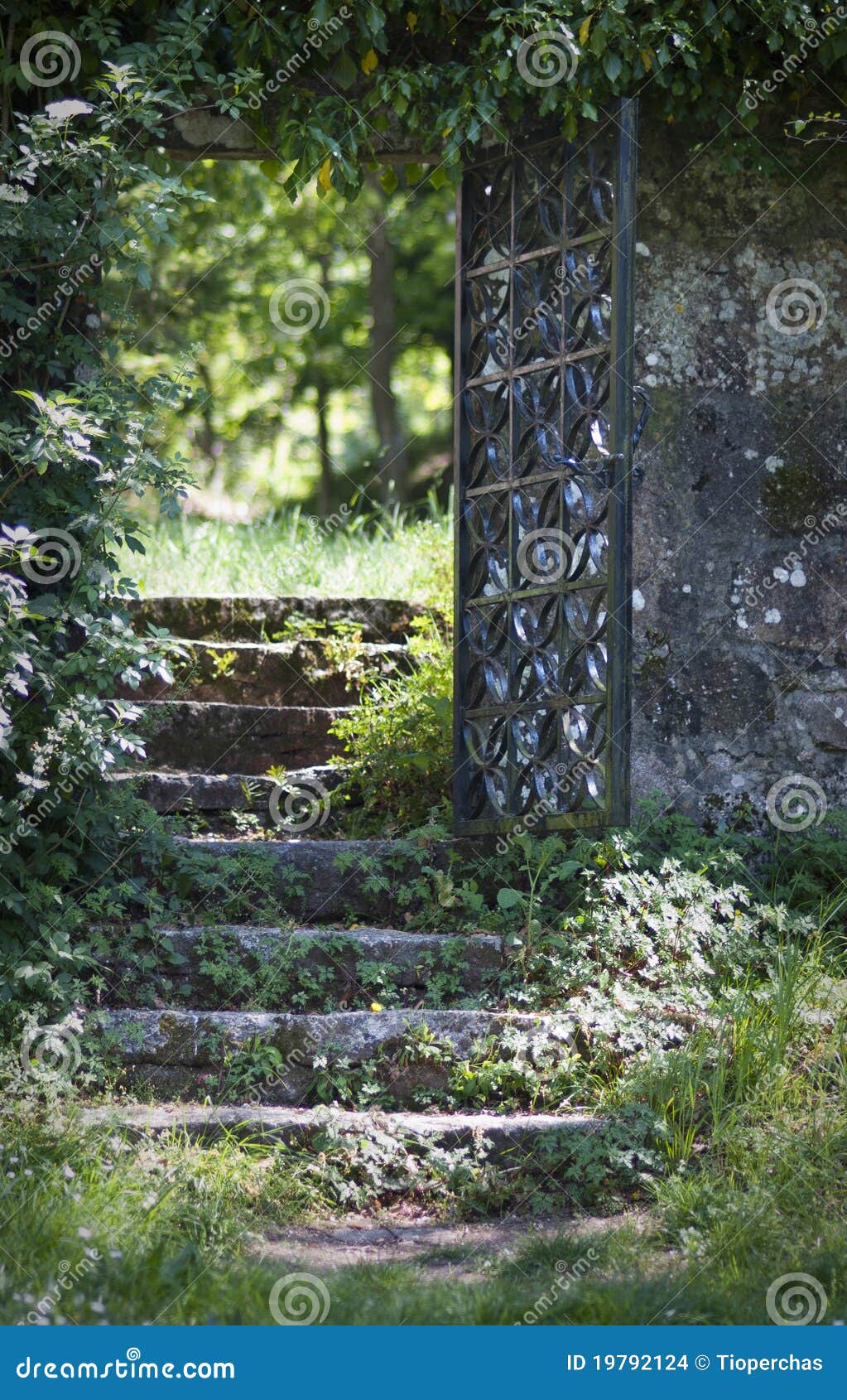 Door in nature stock photo. Image of plant, stairs, stone - 19792124