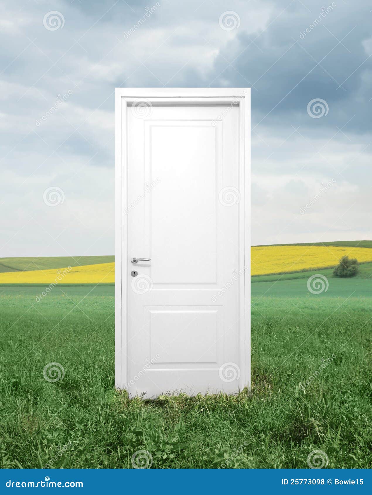 Door in the Nature stock photo. Image of entry, country - 25773098