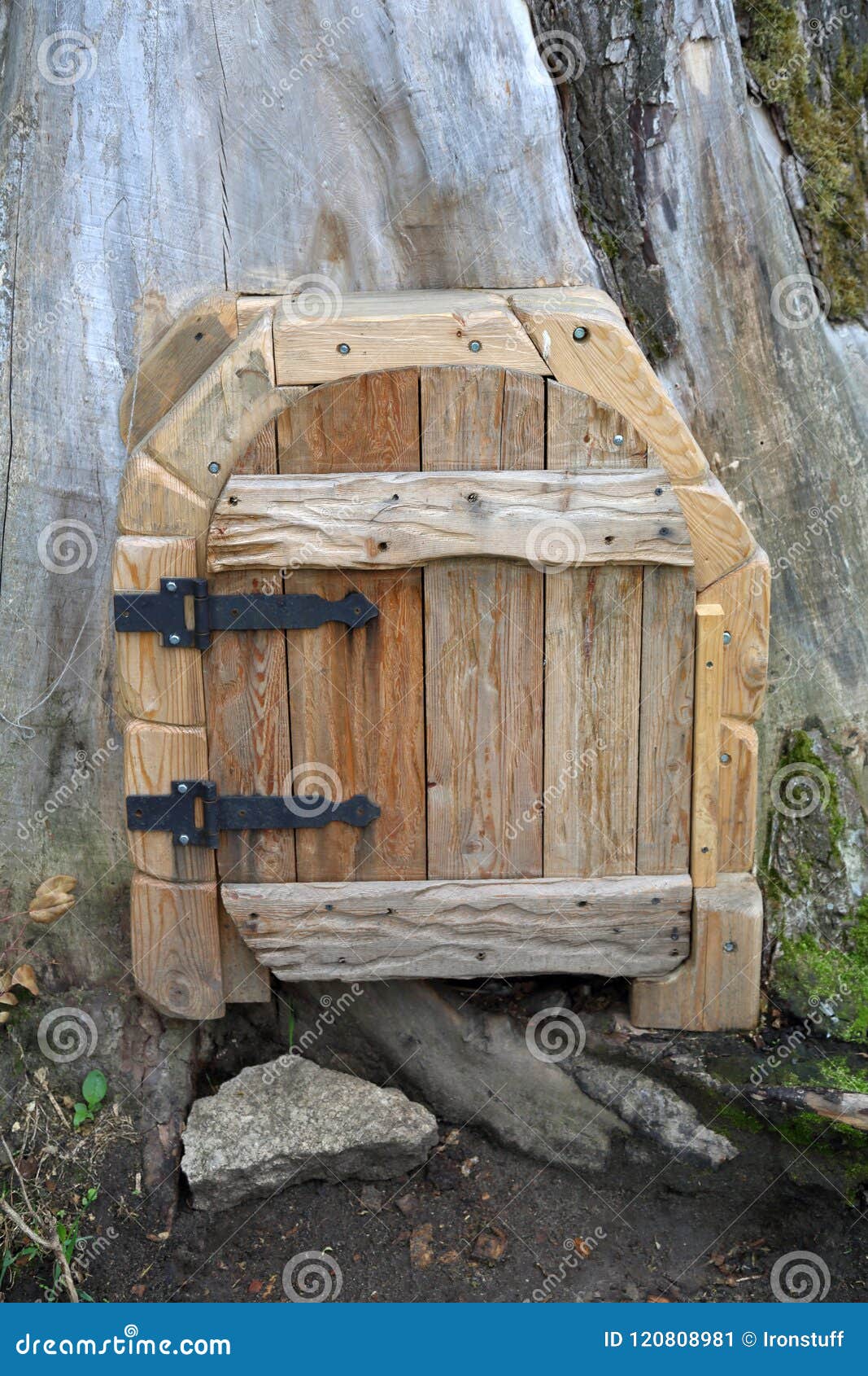 Door in the Trunk of a Tree Stock Image - Image of forest, natural ...