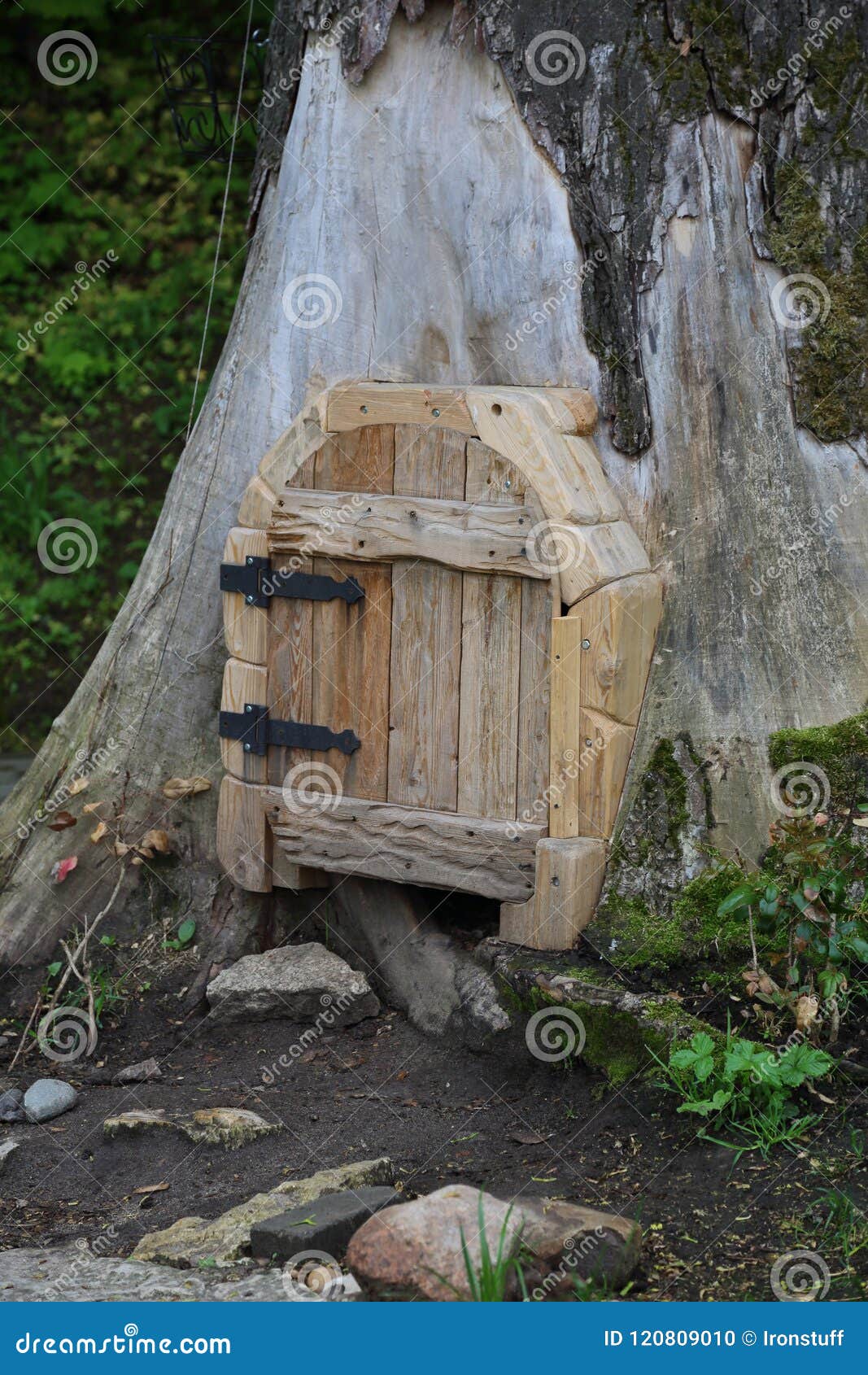 Door in the Trunk of a Tree Stock Photo - Image of huge, nature: 120809010