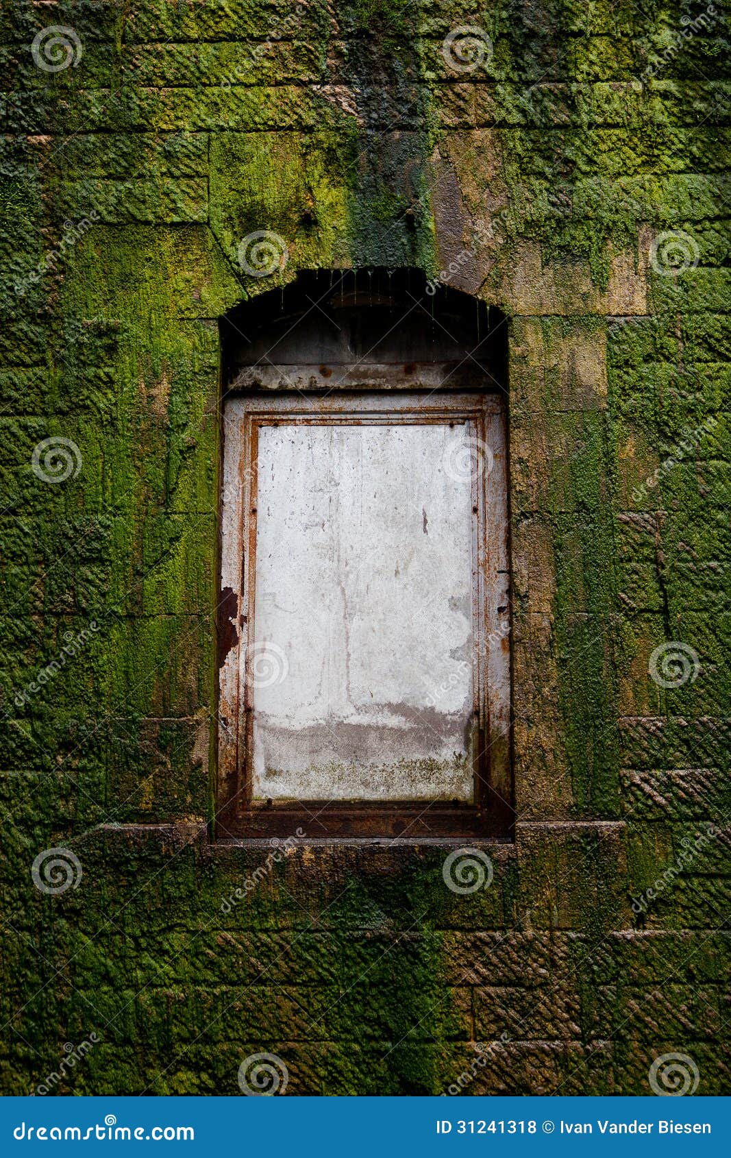 Door in a Wall Covered with Moss Stock Photo - Image of color, forest ...