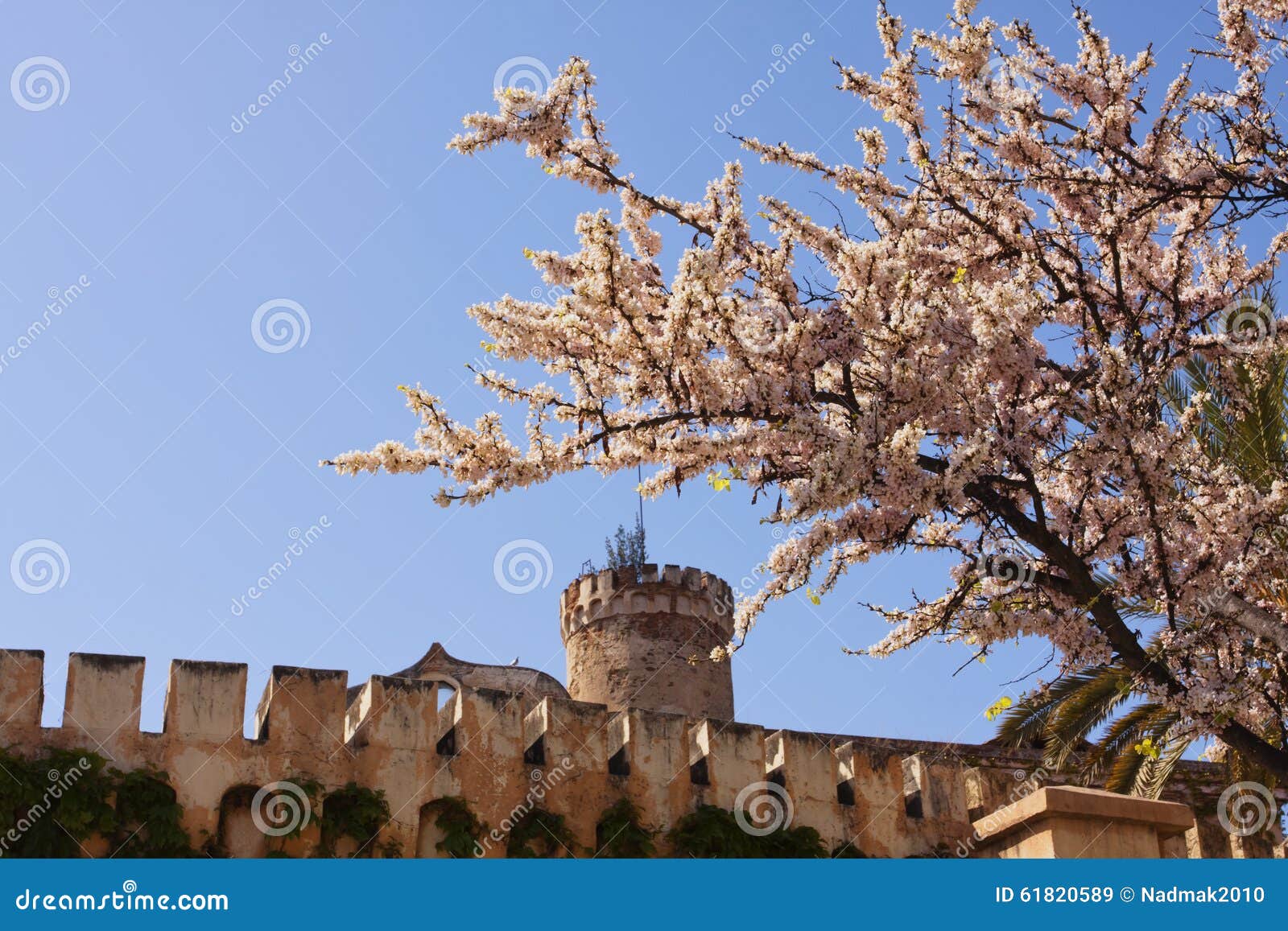 Ancient castle in spring stock image. Image of decoration - 61820589