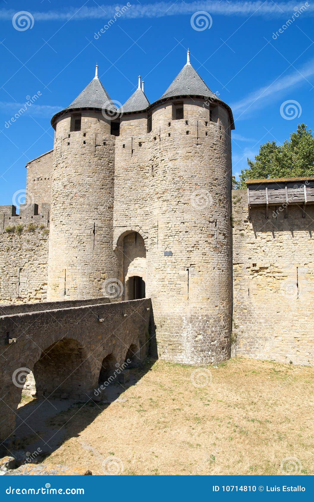 Doors of the Castle stock photo. Image of europe, france - 10714810