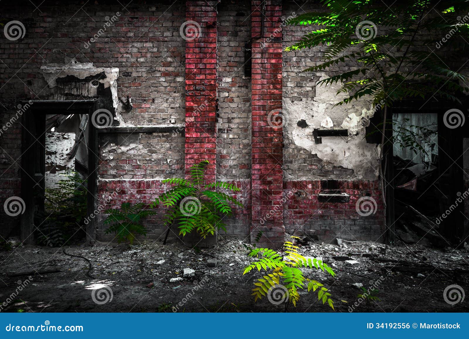 Doors in a Desolate Industrial Building Stock Photo - Image of entrance ...