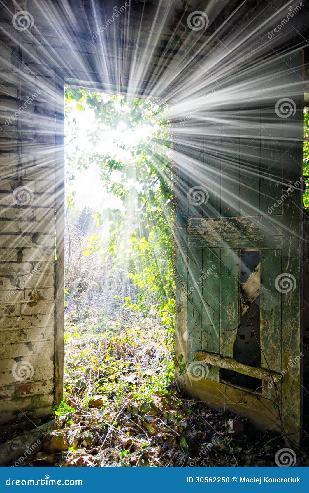 The Doors stock photo. Image of hope, abandoned, dream - 30562250
