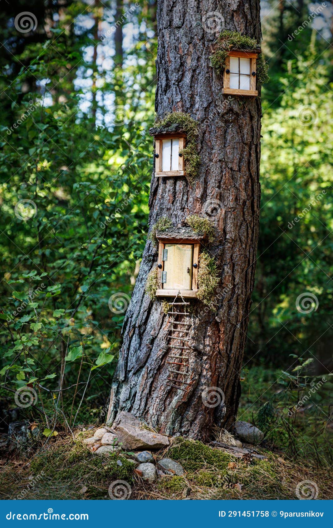Doors and Windows in a Tree Trunk Stock Photo - Image of summer, outdoor: 291451758