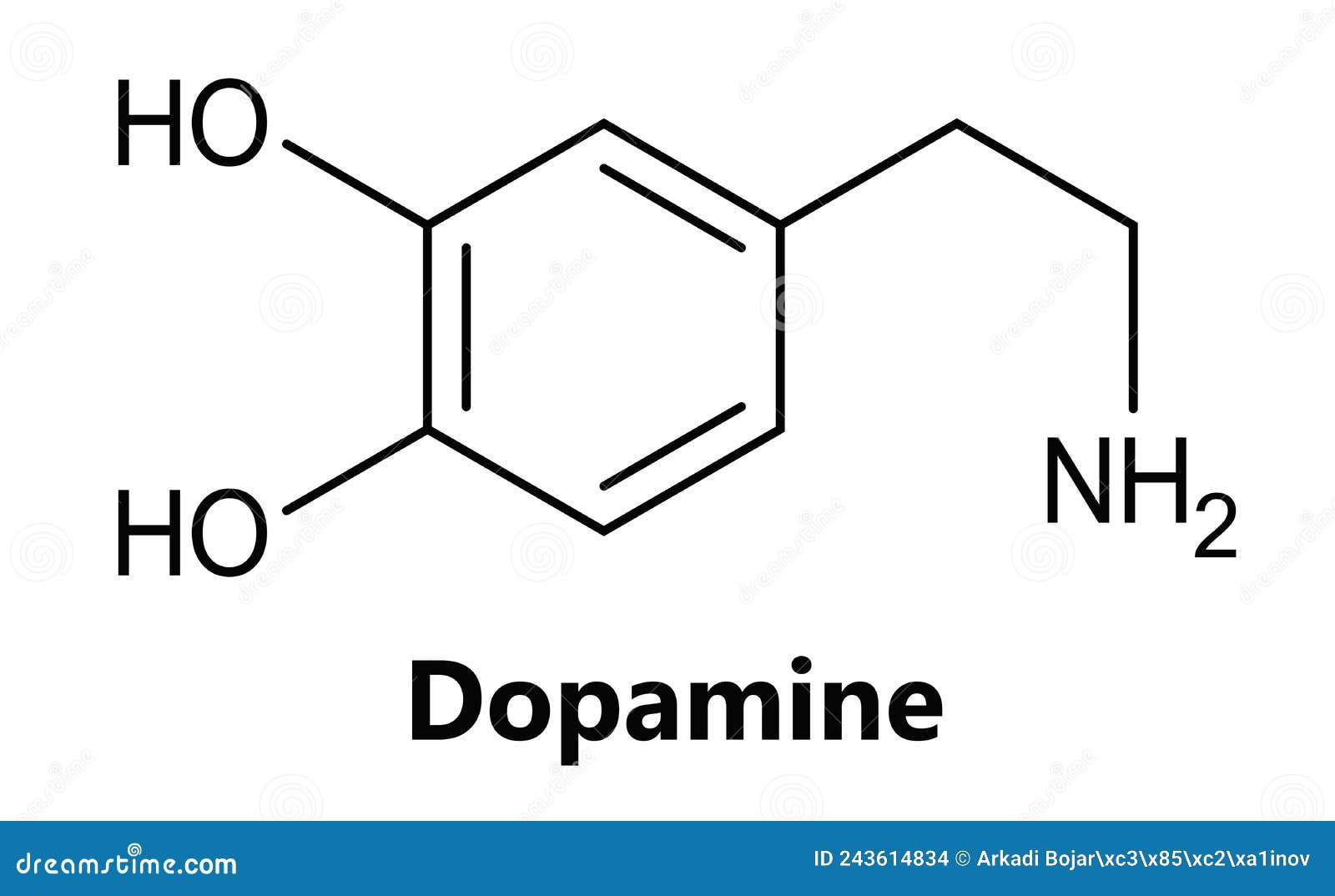 Dopamine Chemical Formula. Dopamine Structural Chemical Formula ...