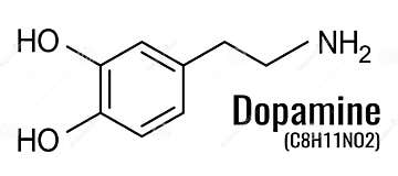 Dopamine Formula, Chemical Structure of Molecule Stock Vector ...