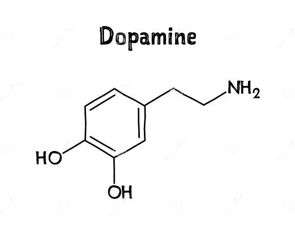Dopamine Structural Formula of Molecular Structure Stock Illustration ...