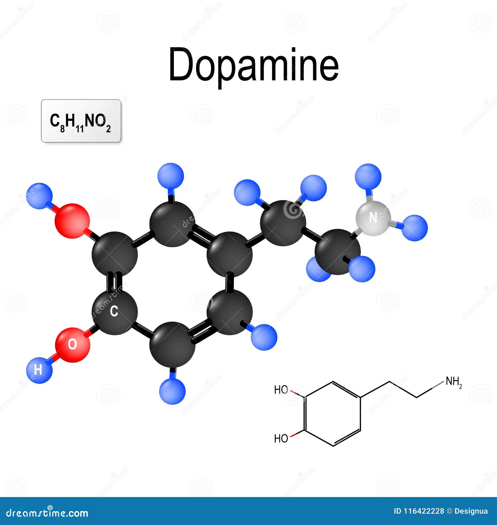 Dopamine Structureel Chemisch Formule En Model Van Molecule Vector ...