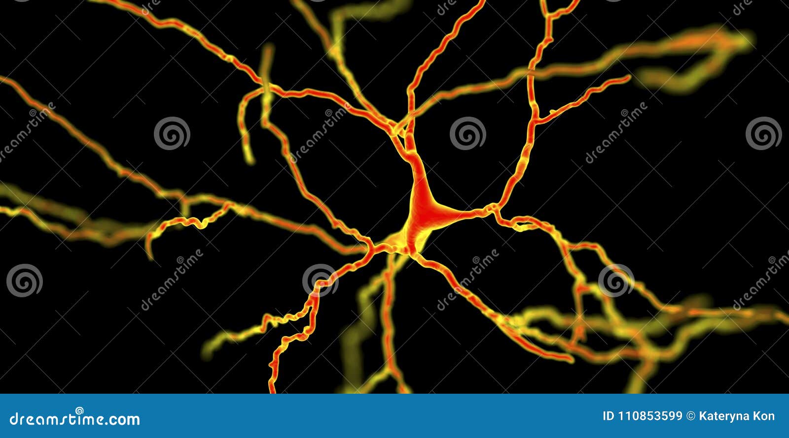 Dopaminergic Neuron, Computer Reconstruction Stock Illustration ...