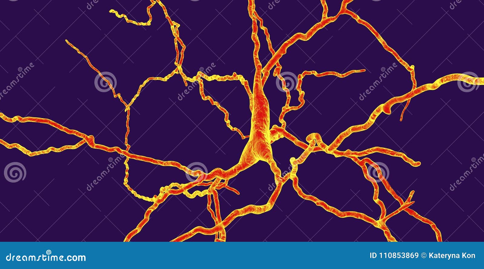Dopaminergic Neuron, Computer Reconstruction Stock Illustration ...