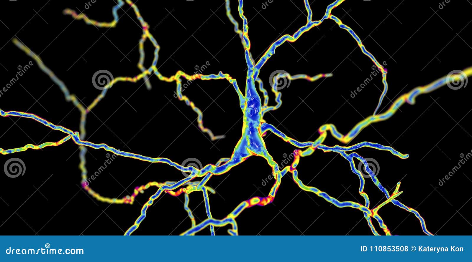 Dopaminergic Neuron, Computer Reconstruction Stock Illustration ...