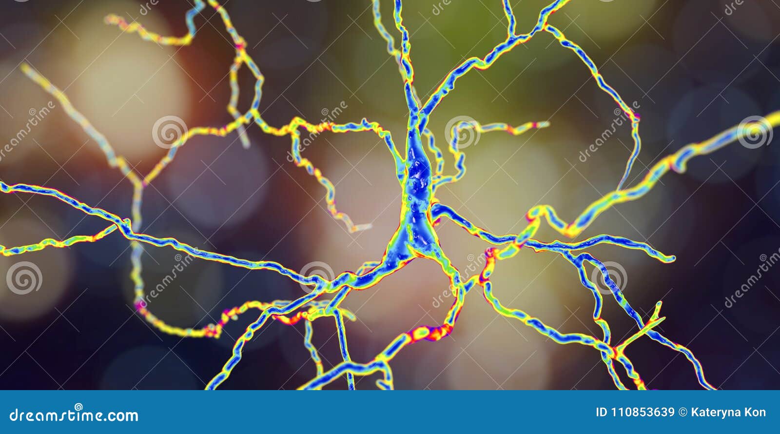 Dopaminergic Neuron, Computer Reconstruction Stock Illustration ...