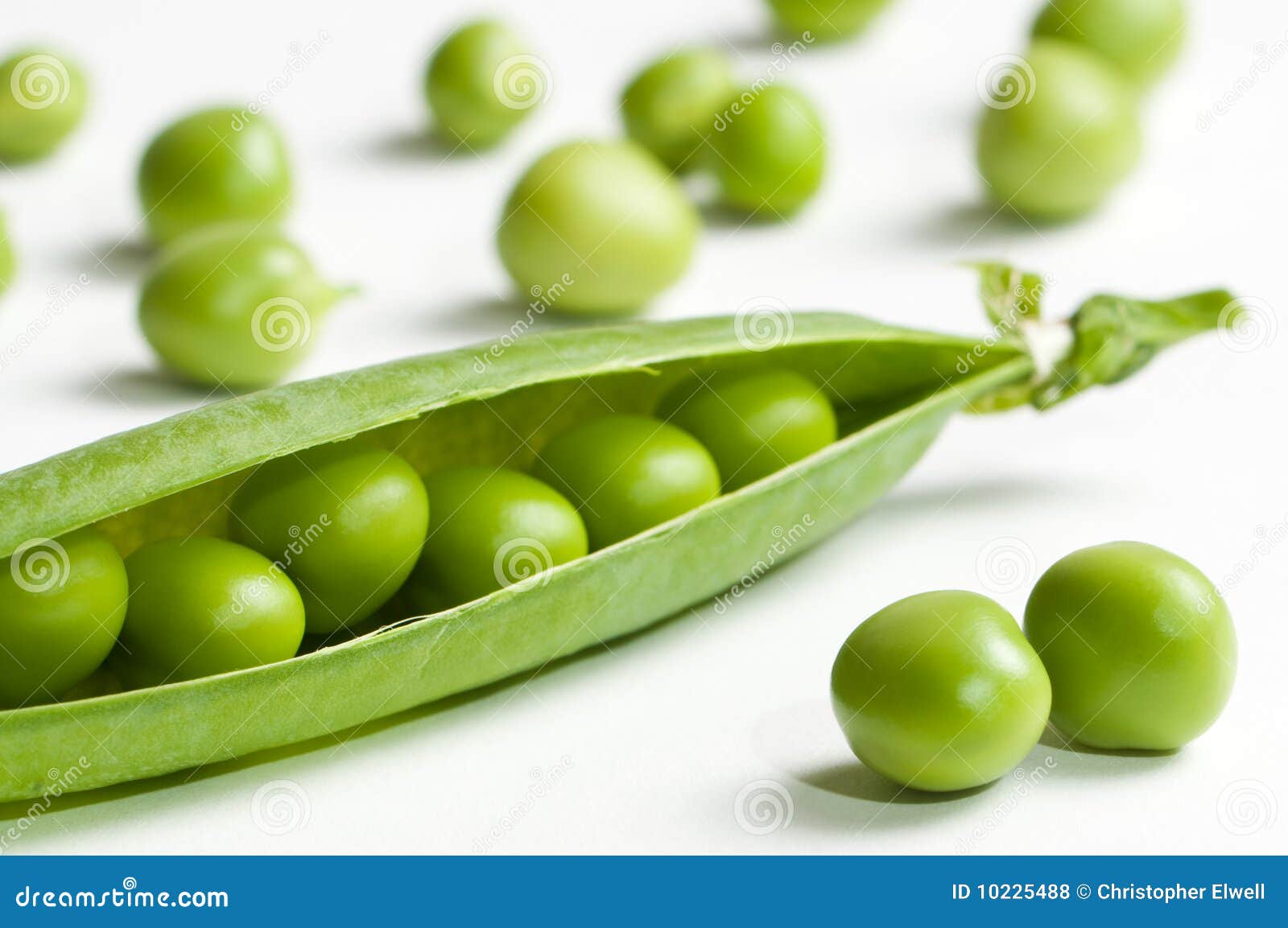 Doperwten stock foto. Image of land, vers, tuin, geplukt - 10225488