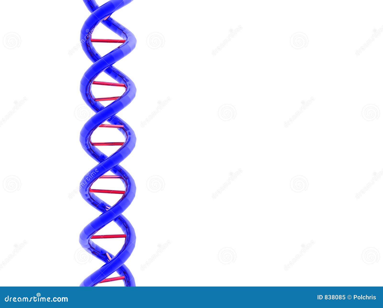 Doppia elica del DNA illustrazione di stock. Illustrazione di modello ...