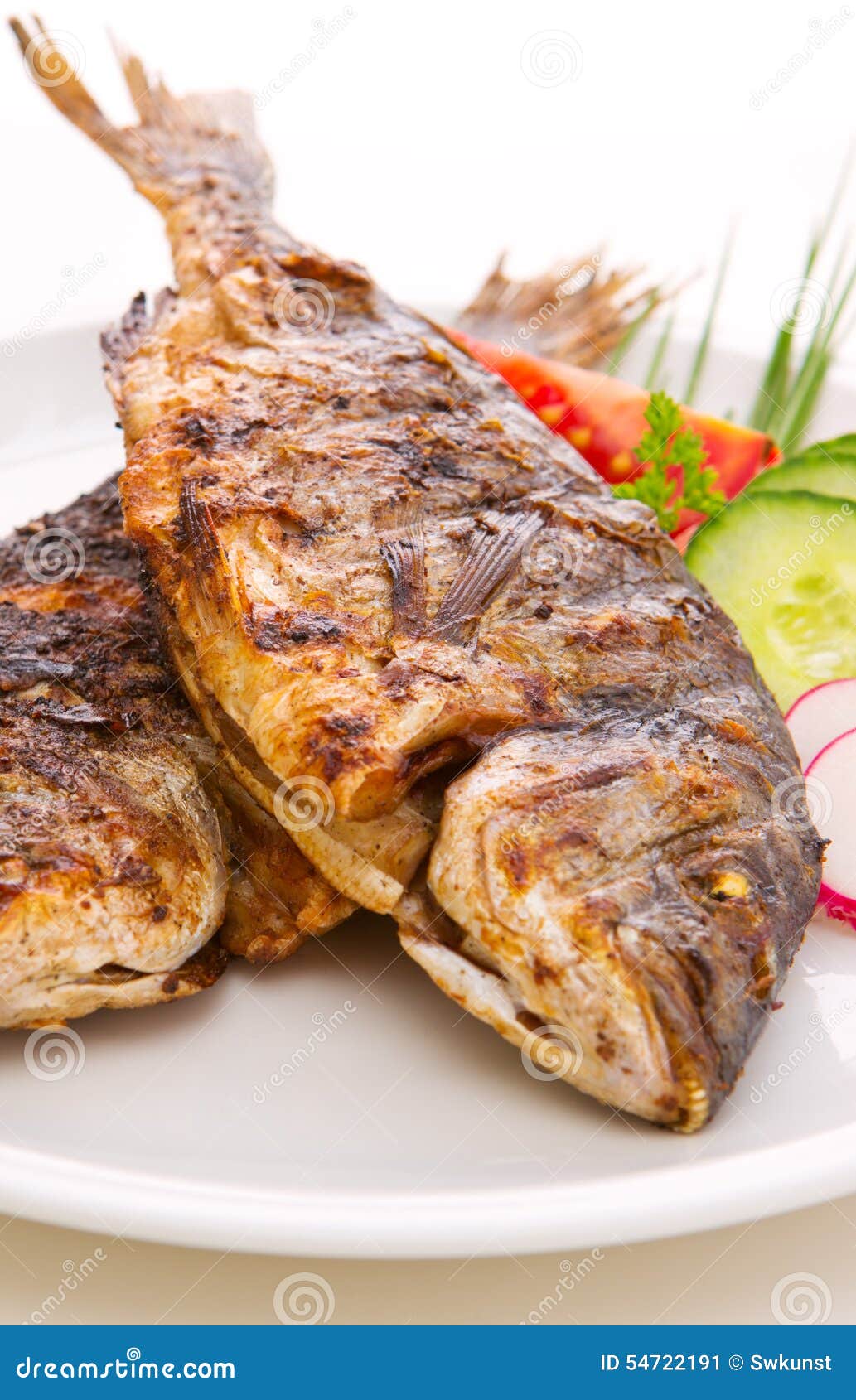 Dorada fish. stock image. Image of mediterranean, fresh - 54722191