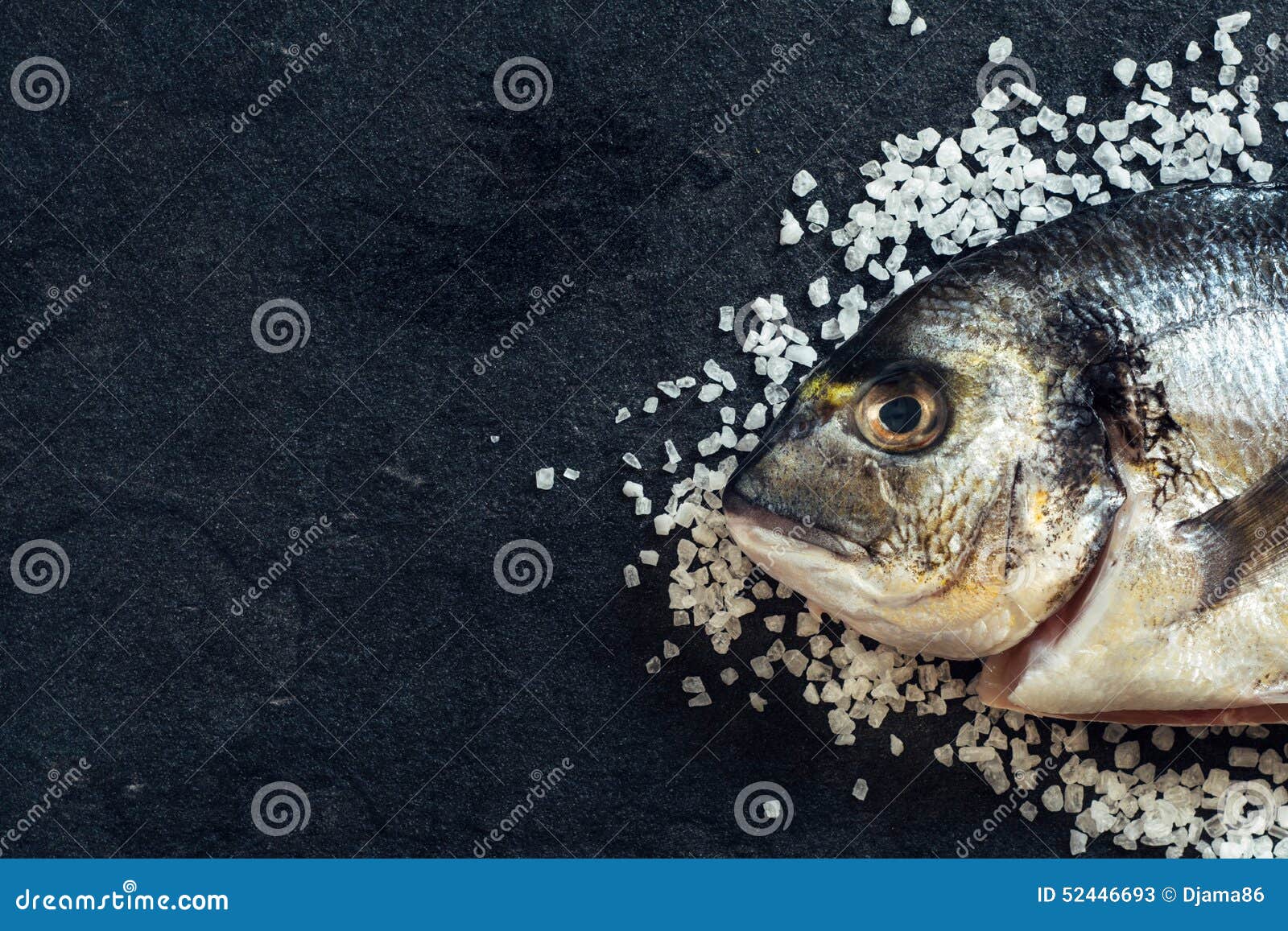 Dorada fish head stock image. Image of blank, aurata - 52446693