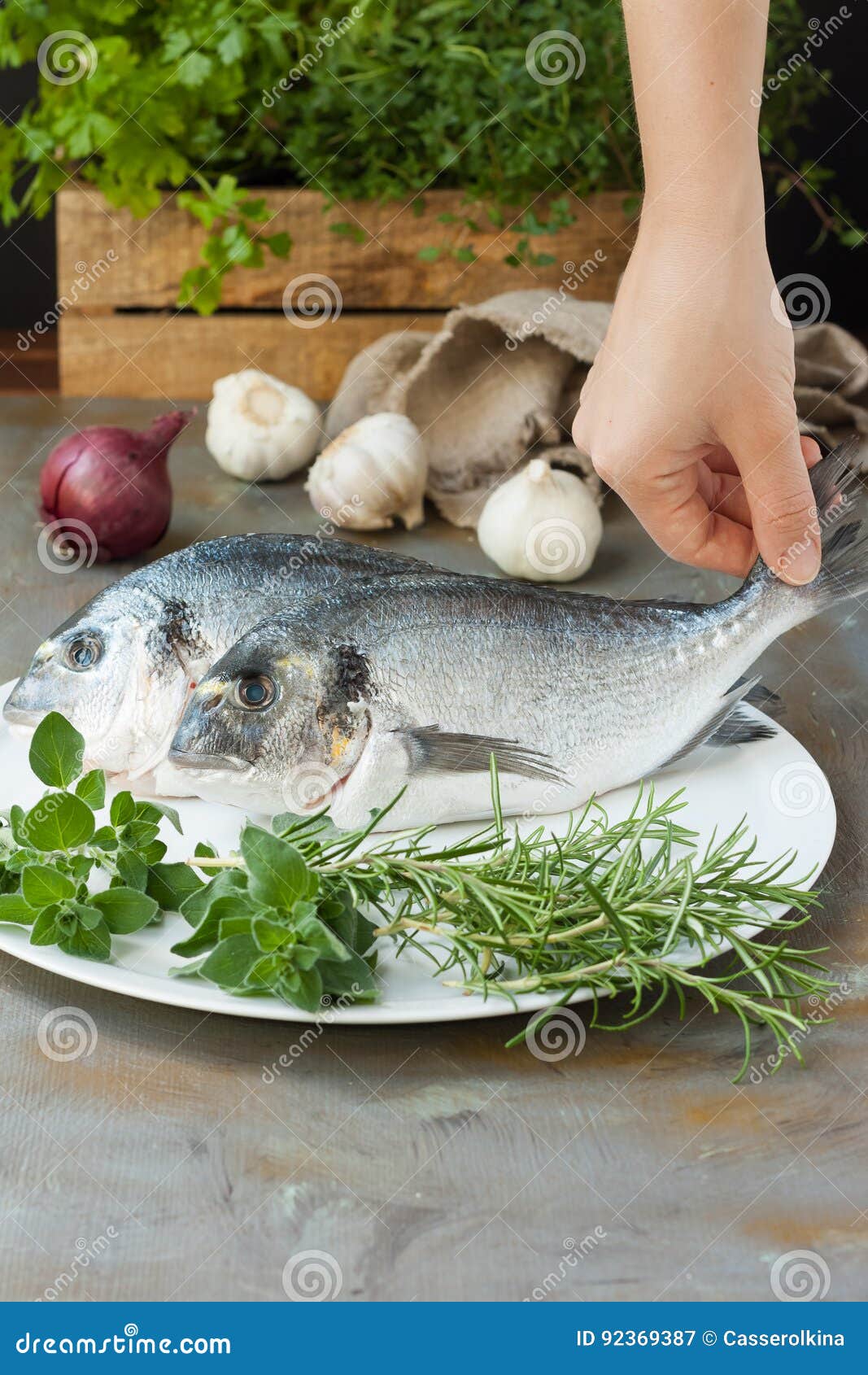 Dorade At Fish Market, Stock Image | CartoonDealer.com #86329075