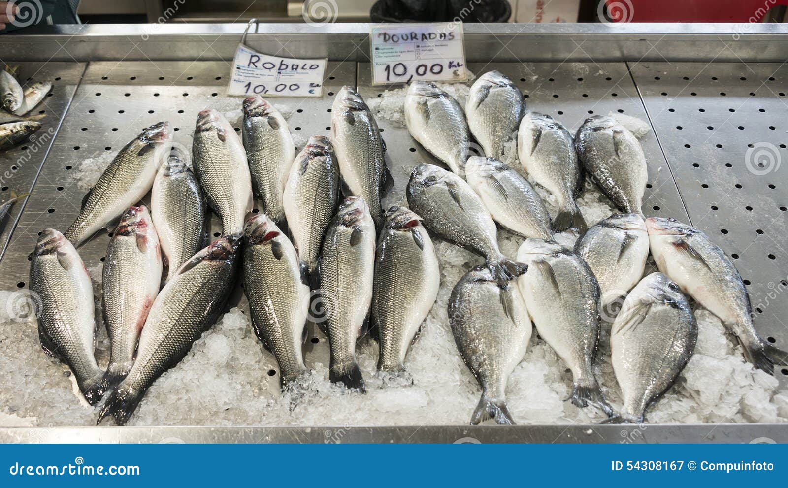 Dorade fish editorial photography. Image of market, fresh - 54308167