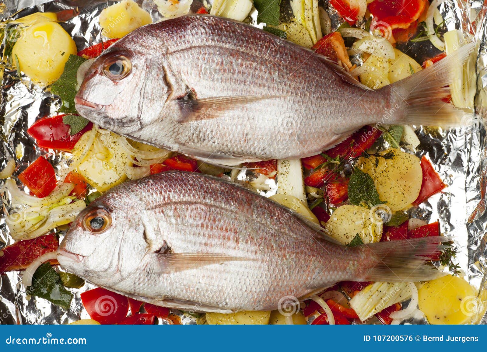 Dorade stock photo. Image of blue, rosemary, spice, nature - 107200576