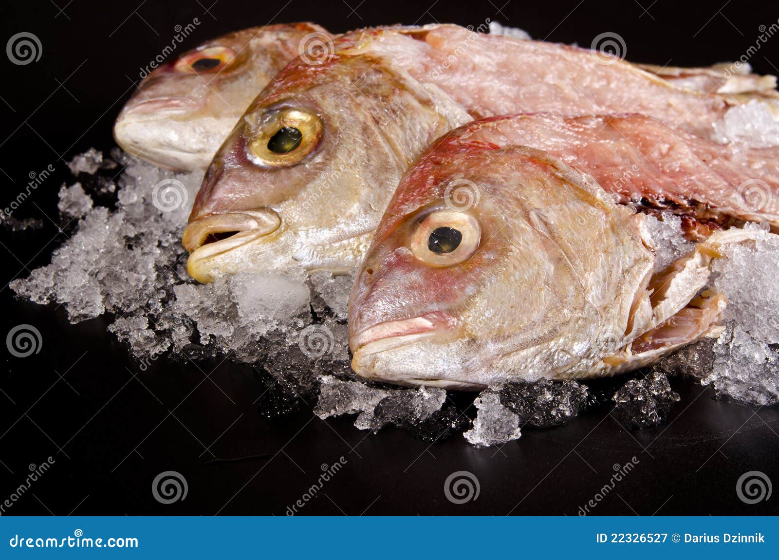 Fresh Dorade Sea Bream Fish Fillets With Ice On Market, Close-up ...