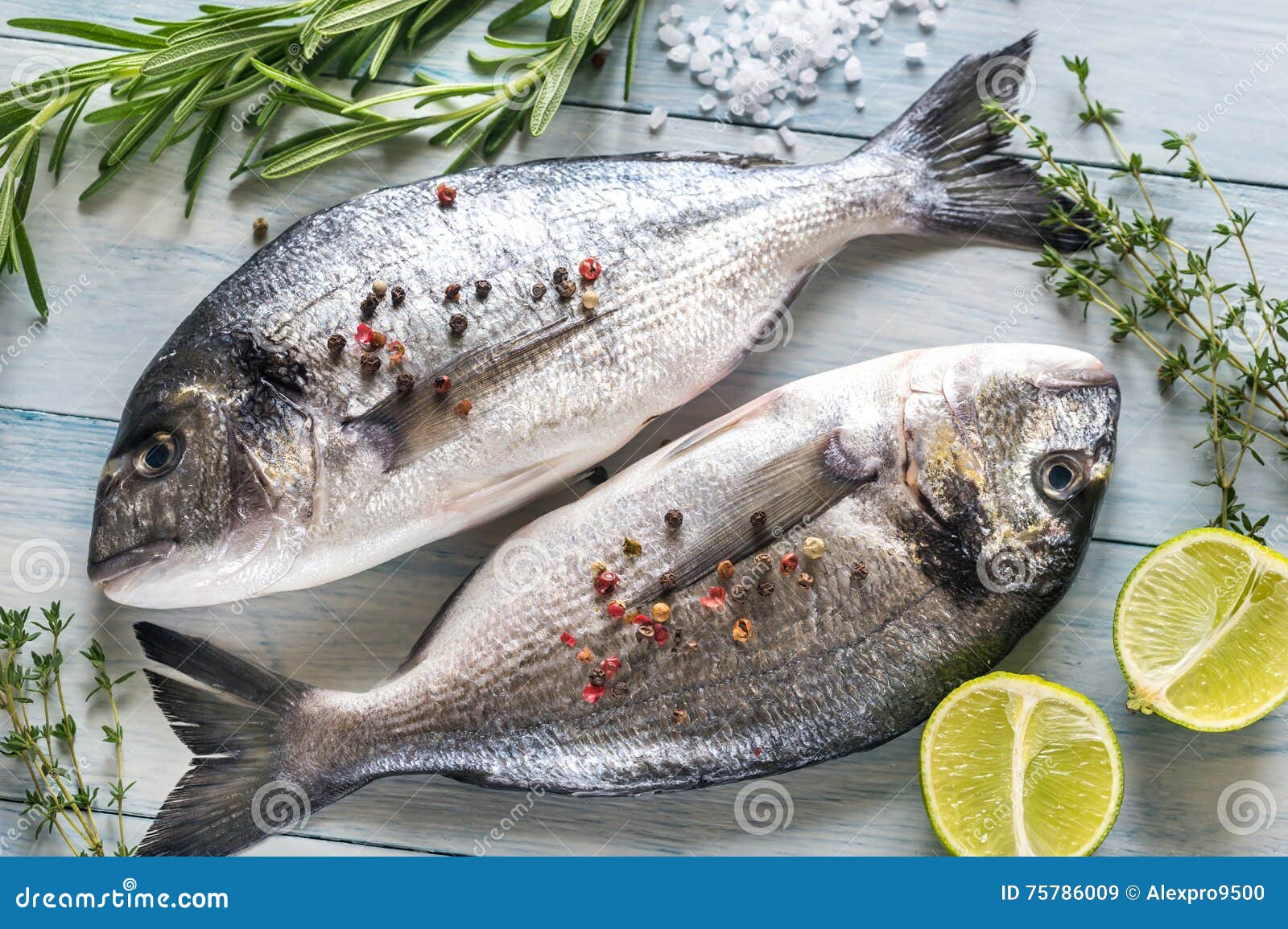 Dorade Royale Fish stock image. Image of bream, blue - 75786009