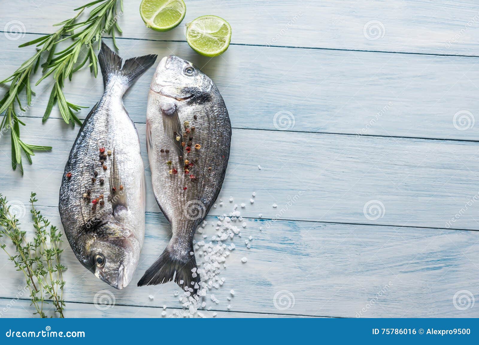 Dorade Royale Fish stock photo. Image of close, pepper - 75786016
