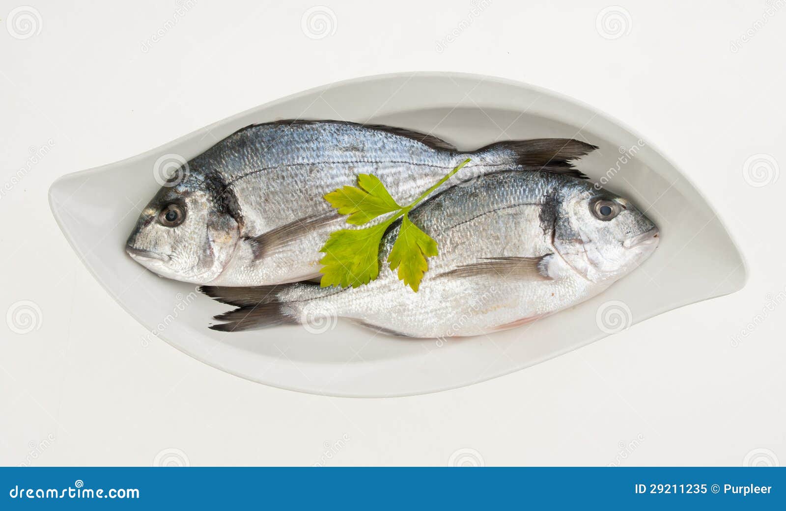 Dorado stock image. Image of ring, finished, nature, semi - 29211235