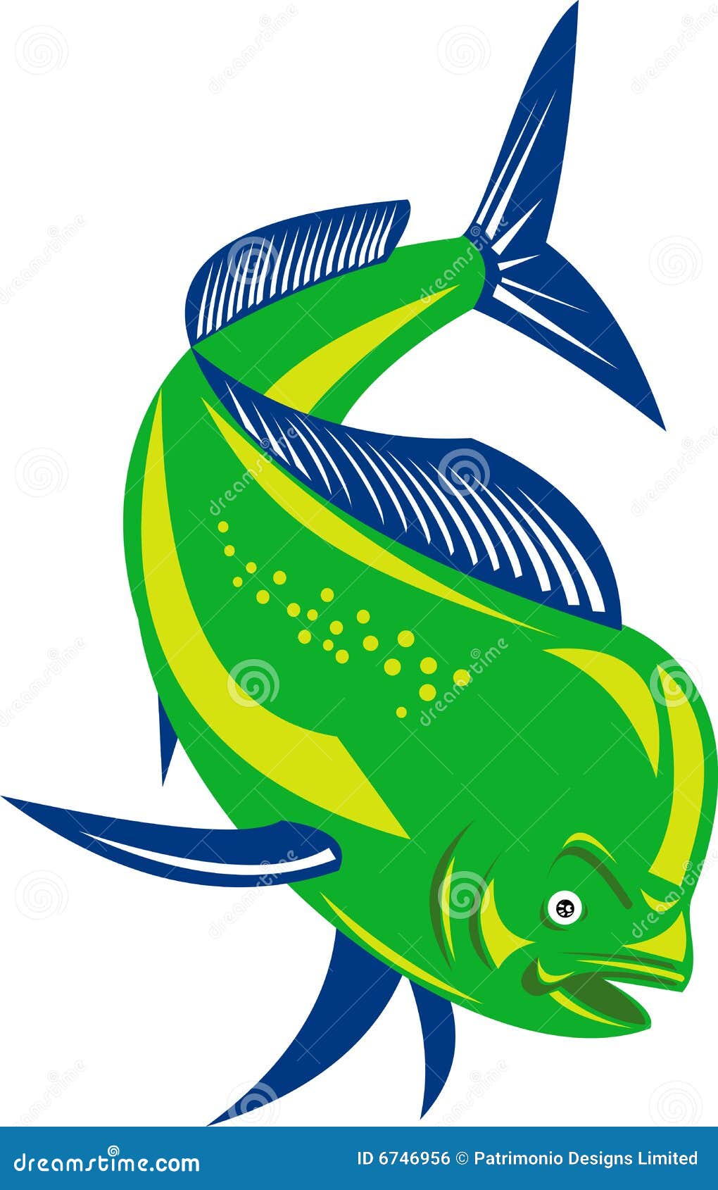 Dorado Cartoons, Illustrations & Vector Stock Images - 19149 Pictures ...