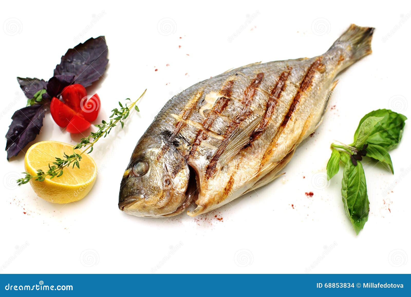 Dorado Fish with Garnish stock photo. Image of italian - 68853834