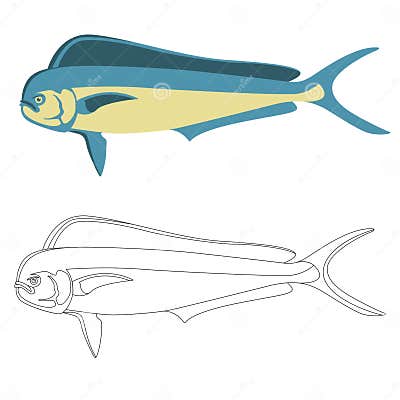 Dorado Fish, Vector Illustration, Flat Style, Side View Stock Vector ...