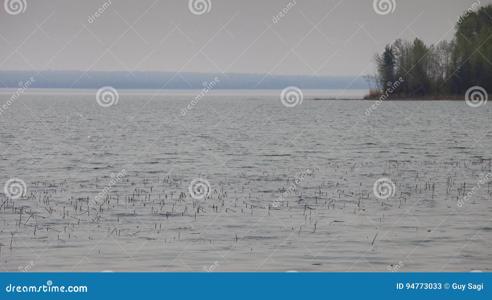 Dore Lake in Saskatchewan stock image. Image of lake - 94773033