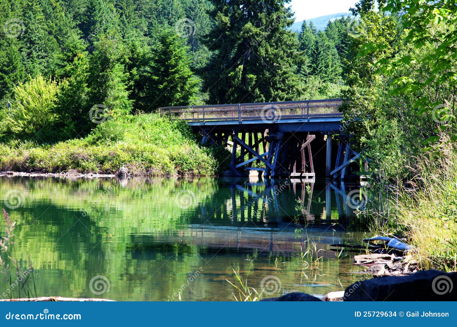 Dorena Reservoir bridge stock photo. Image of forest - 25729634